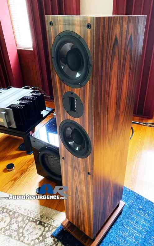 The ProAc D40R Review: Fusion of Elegance and Sound Quality